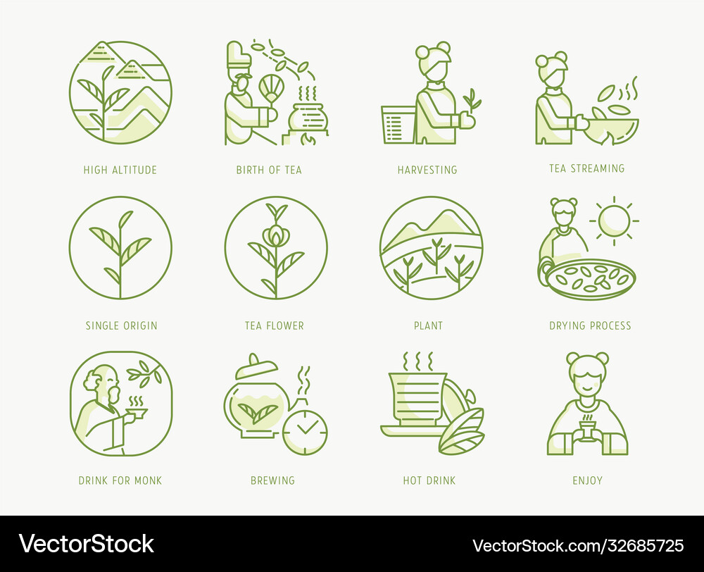 Birth chinese tea icons set Royalty Free Vector Image