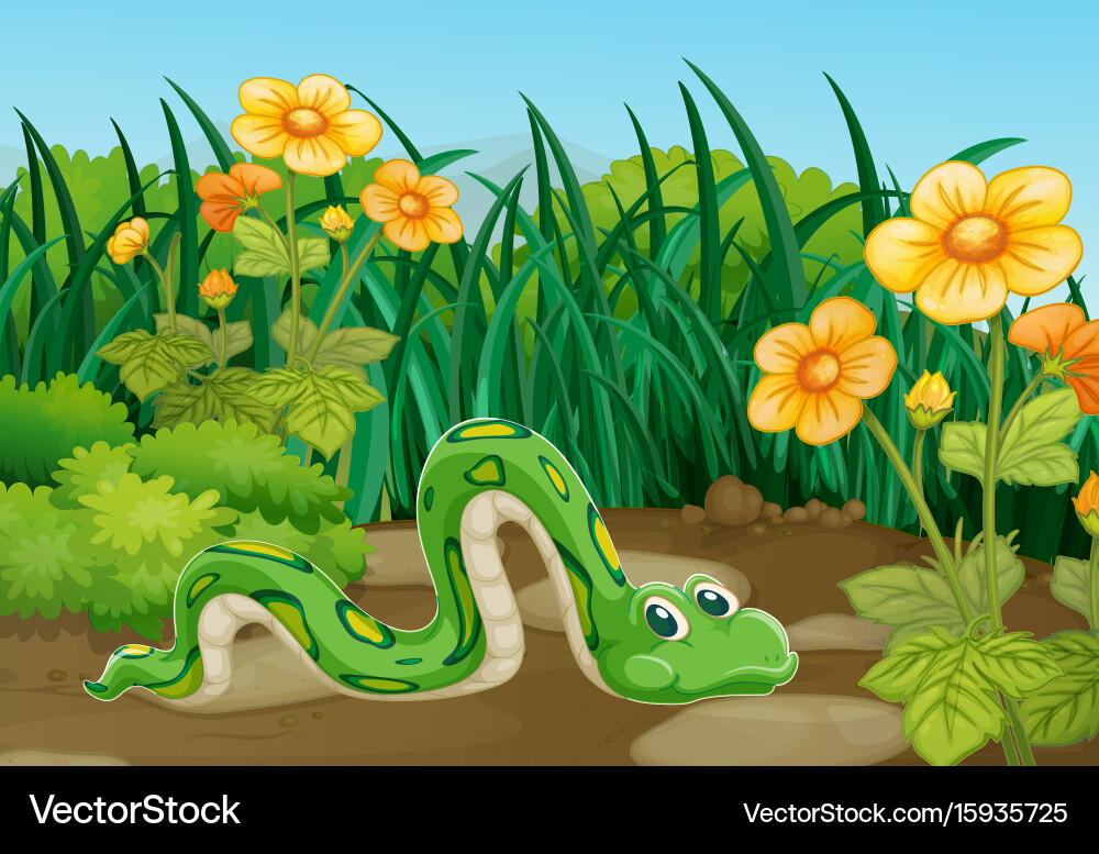 Green snake crawling in garden Royalty Free Vector Image
