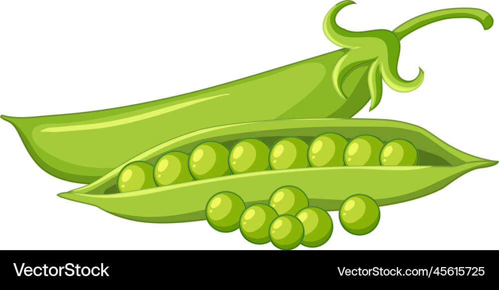 Isolated green peas cartoon Royalty Free Vector Image