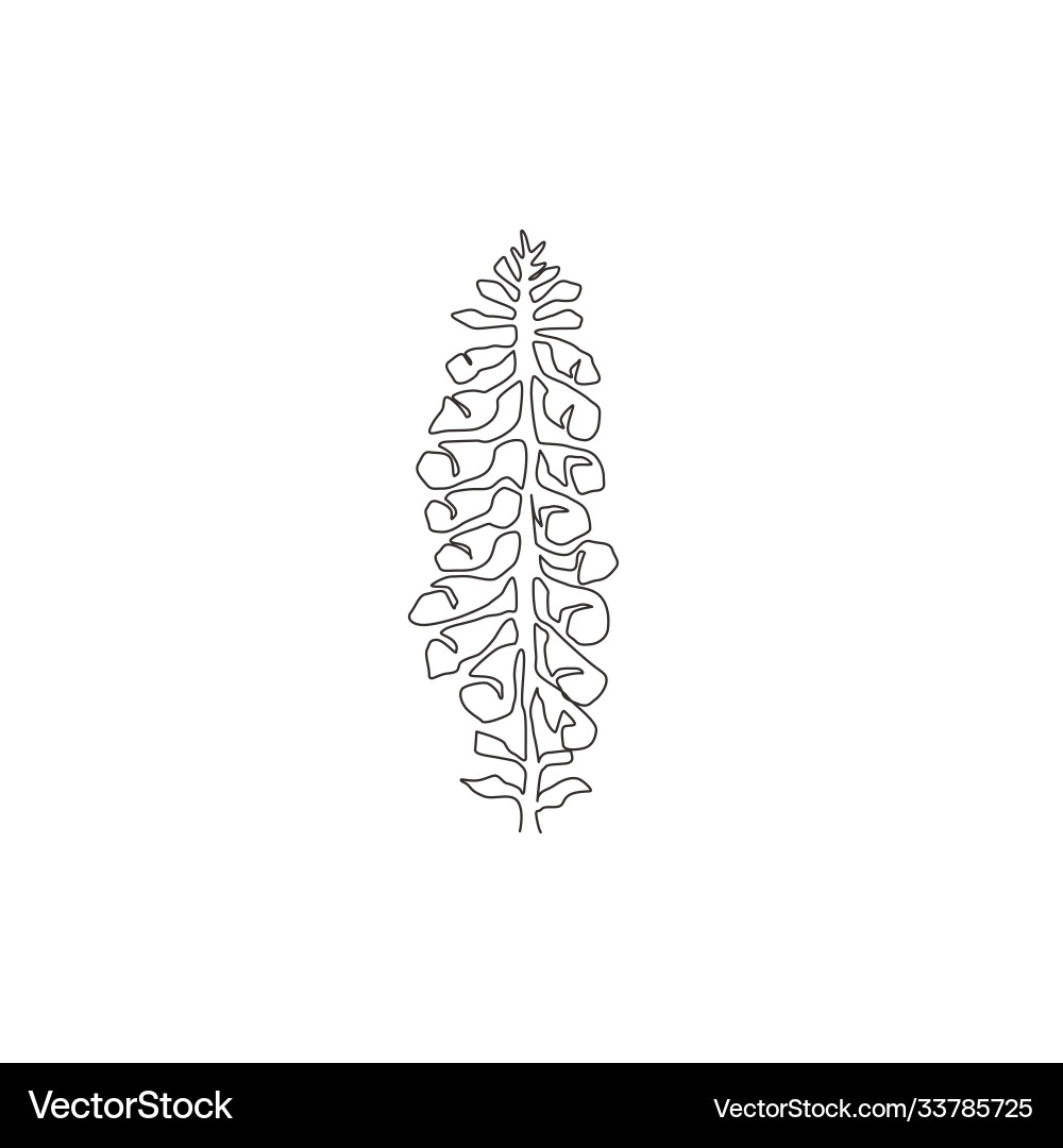 Single one line drawing beauty fresh foxglove Vector Image