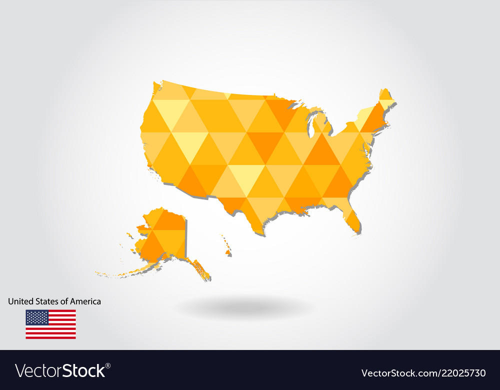 Geometric polygonal style map of united states Vector Image