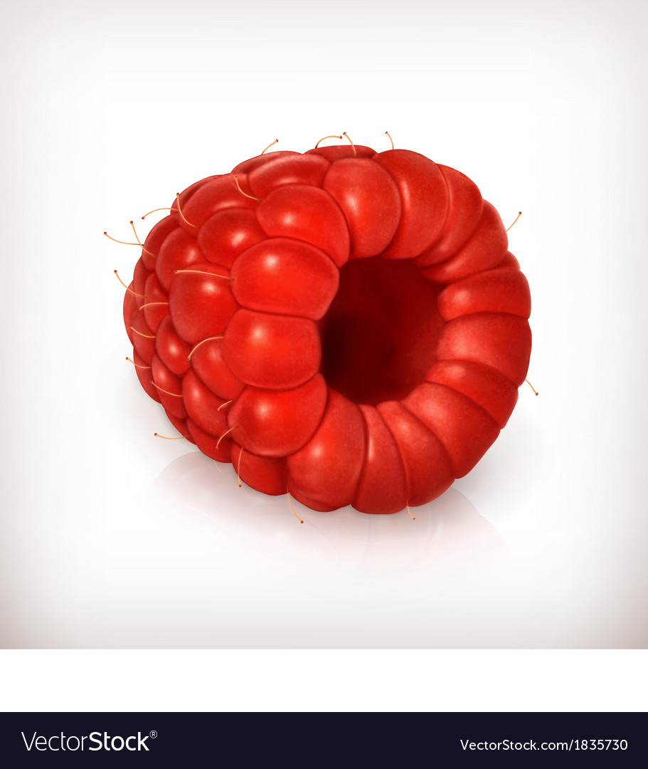 Raspberry high quality Royalty Free Vector Image