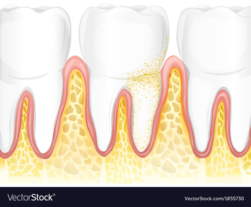 Teeth Royalty Free Vector Image - VectorStock