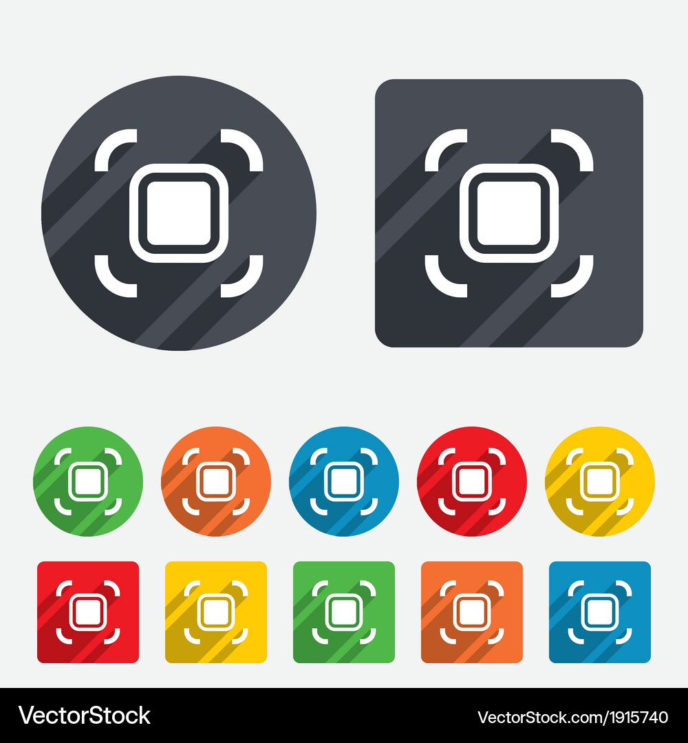 Autofocus zone sign icon photo camera settings Vector Image