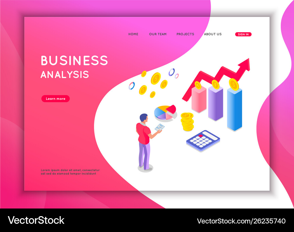 Business analysis concept graphic and audit Vector Image