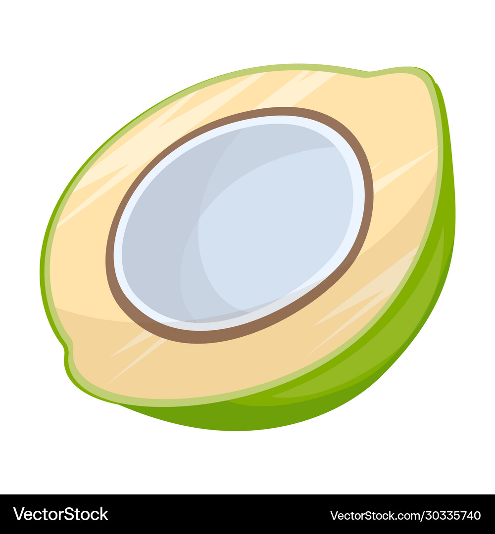 Piece coconut iconcartoon icon Royalty Free Vector Image