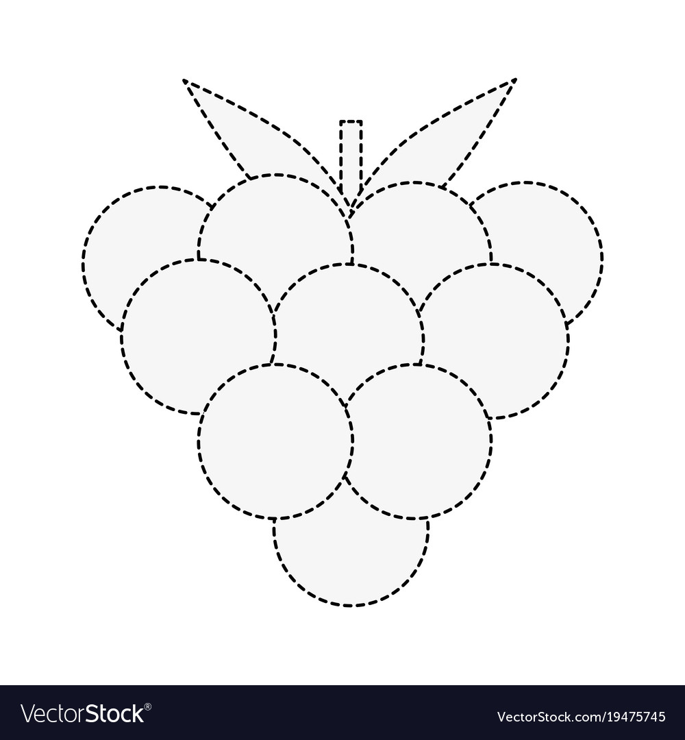 Raspberry fruit isolated Royalty Free Vector Image
