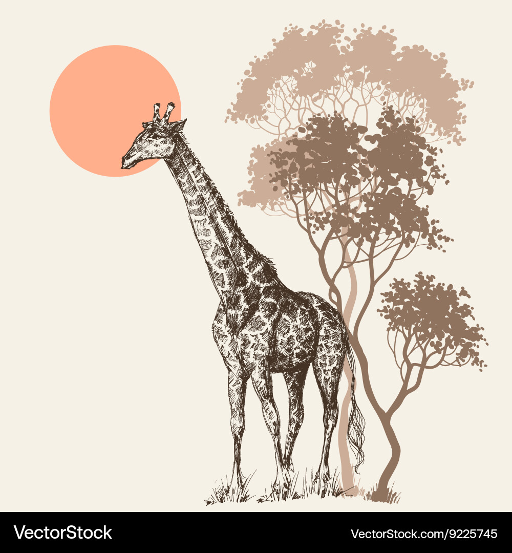 Safari sunset background nature scenery trees Vector Image