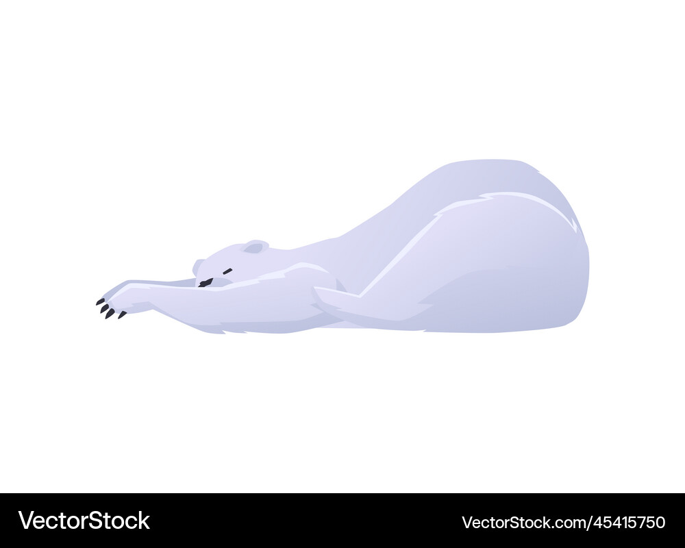 Lazy polar bear lying stretching out front legs Vector Image