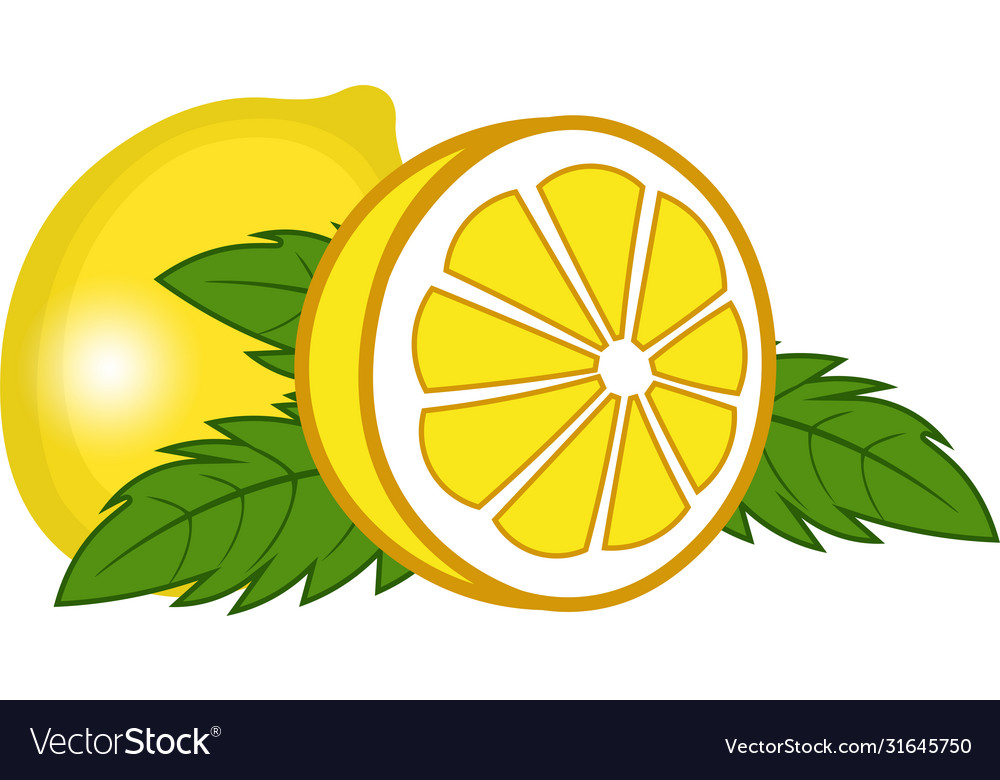Lemon Royalty Free Vector Image - VectorStock