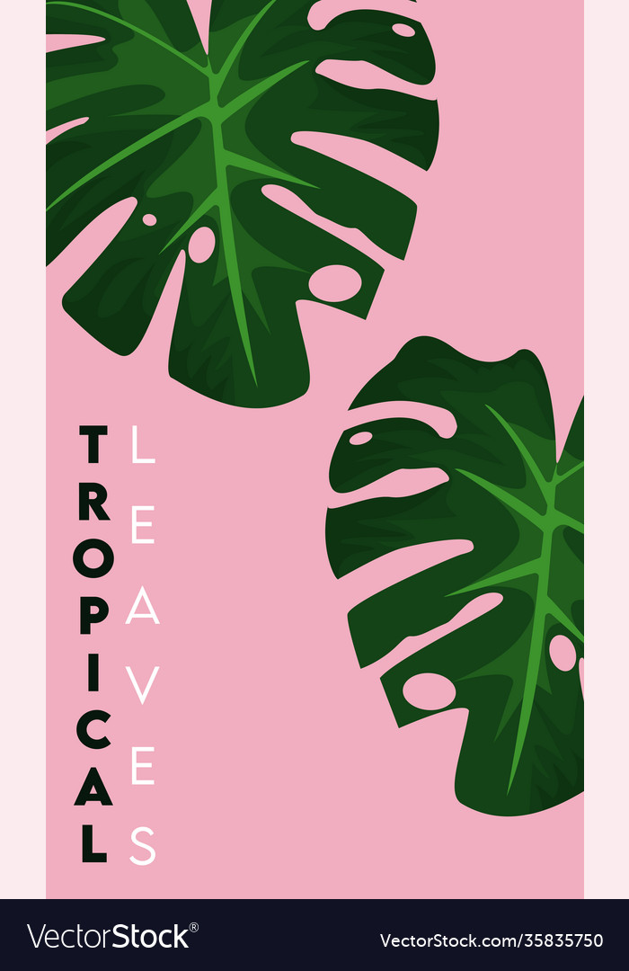 Tropical leaves lettering poster with leafs Vector Image