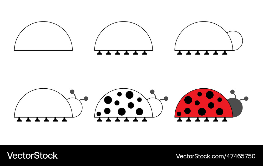Worksheet easy guide to drawing cartoon ladybug Vector Image