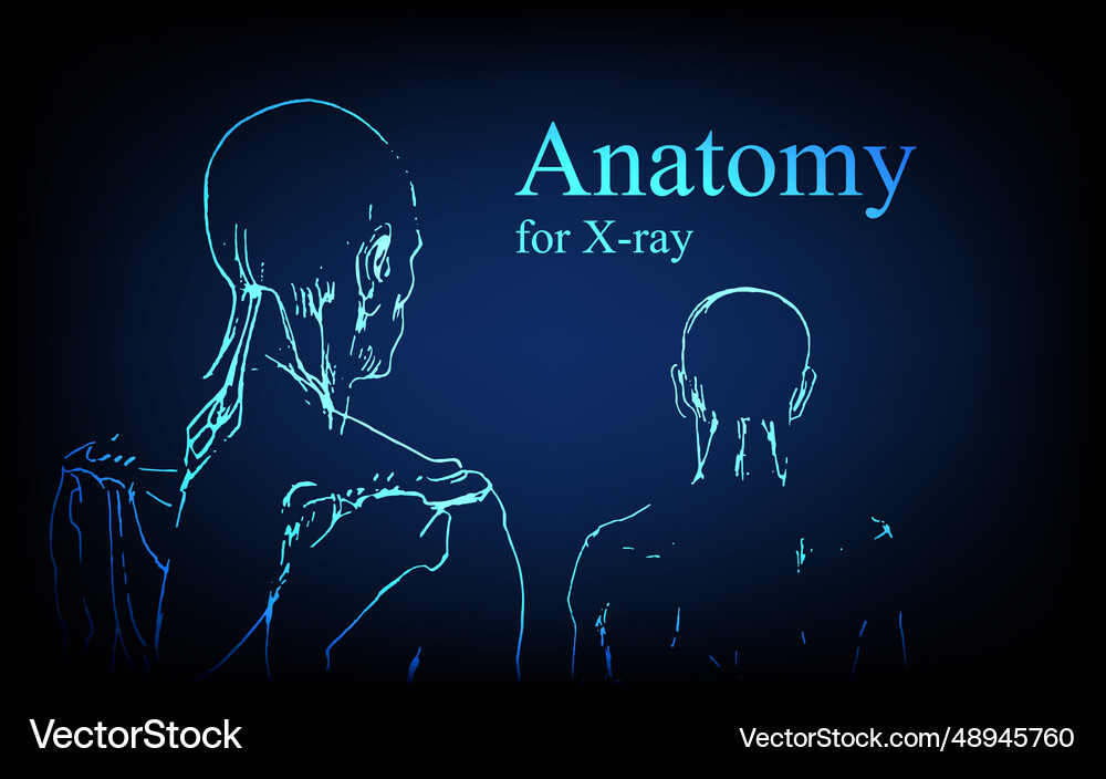 Human anatomy in front on x ray view Royalty Free Vector