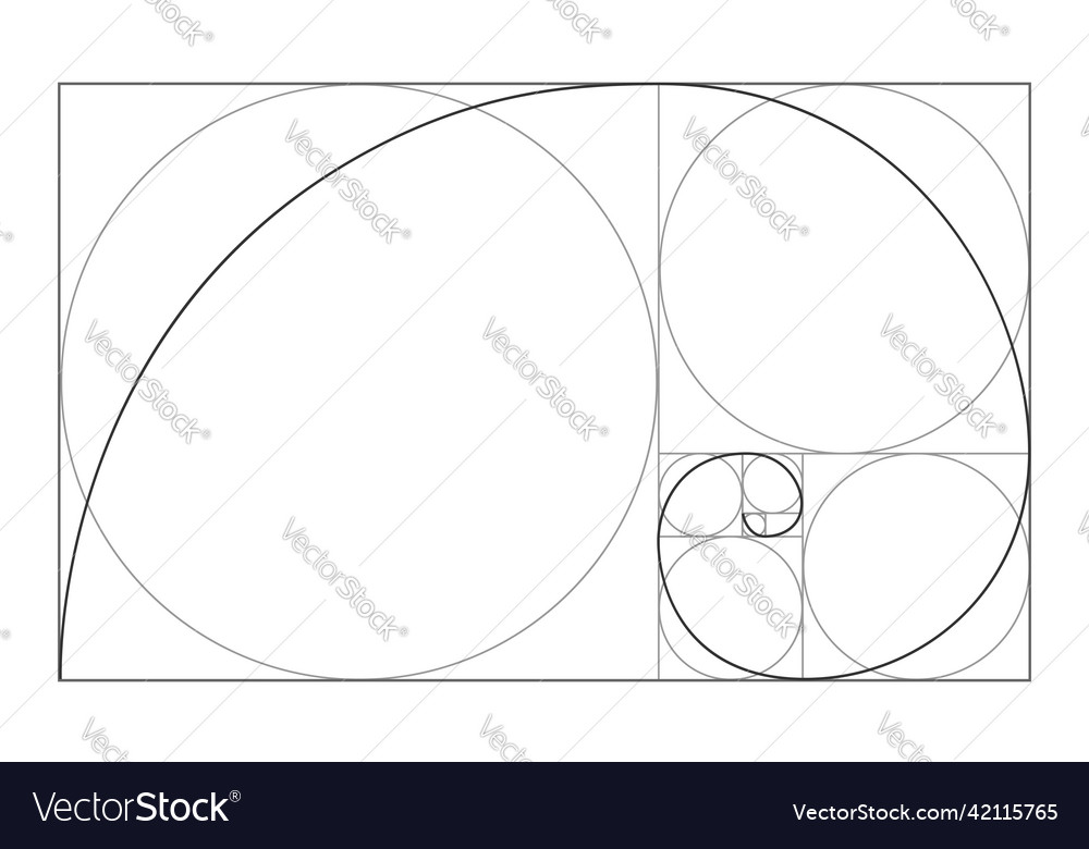 Golden ratio sign logarithmic spiral in rectangle Vector Image