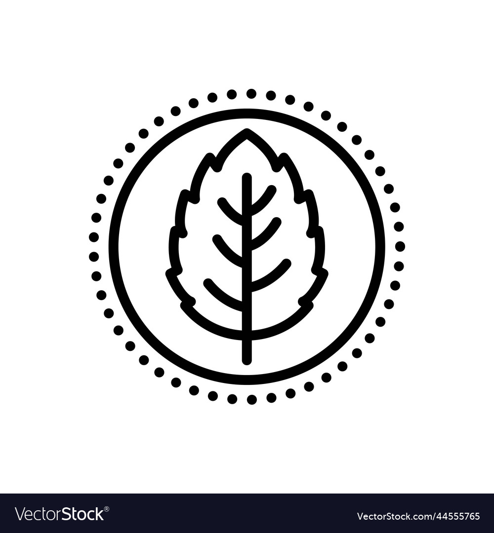 Mint Royalty Free Vector Image - VectorStock