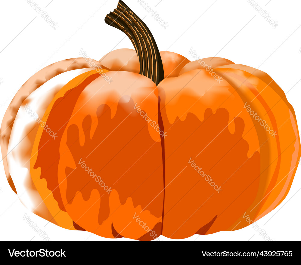 Orange pumpkin for banners flyers posters Vector Image