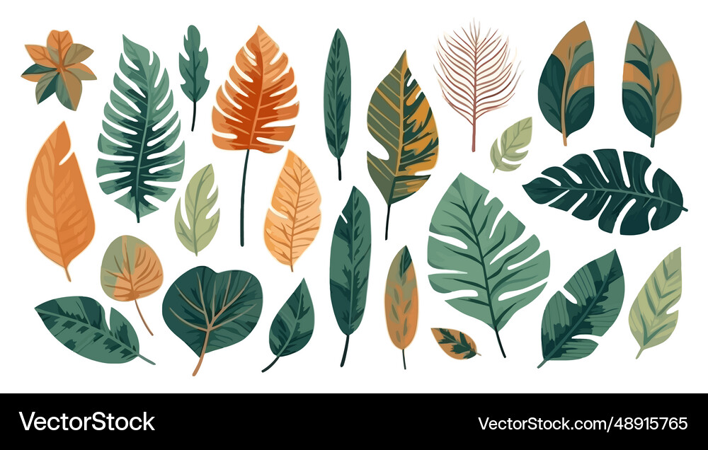 Set tropical leaves flat cartoon isolated Vector Image
