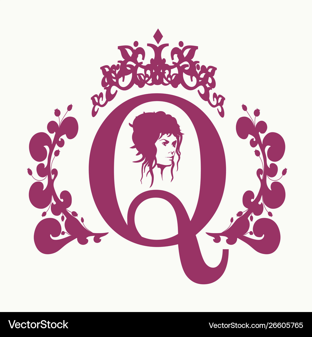 Vintage queen silhouette medieval profile Vector Image