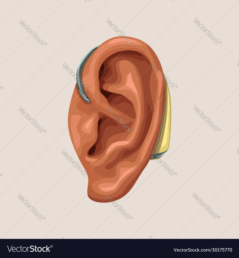 Realistic hearing aid and ear Royalty Free Vector Image