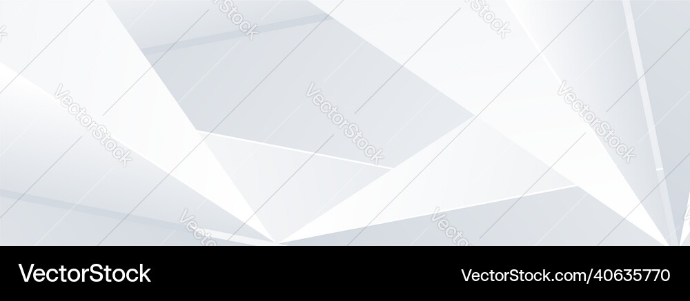 White abstract wide banner graphic design Vector Image