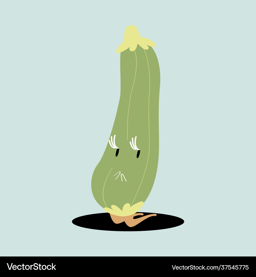Fresh zucchini cartoon character Royalty Free Vector Image