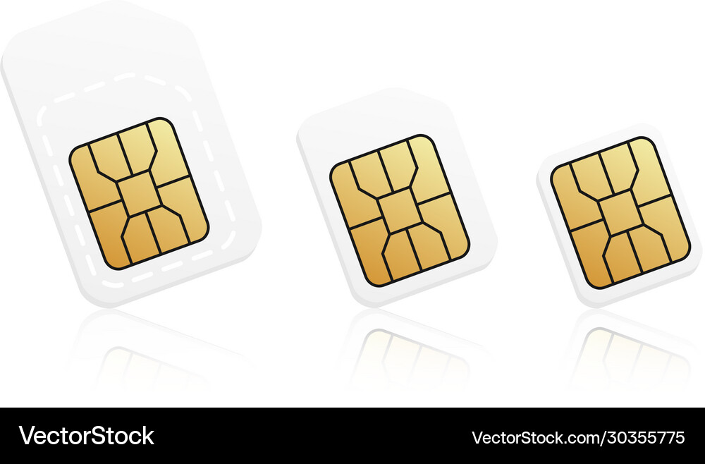 Realistic phone card set mobile sim card types Vector Image