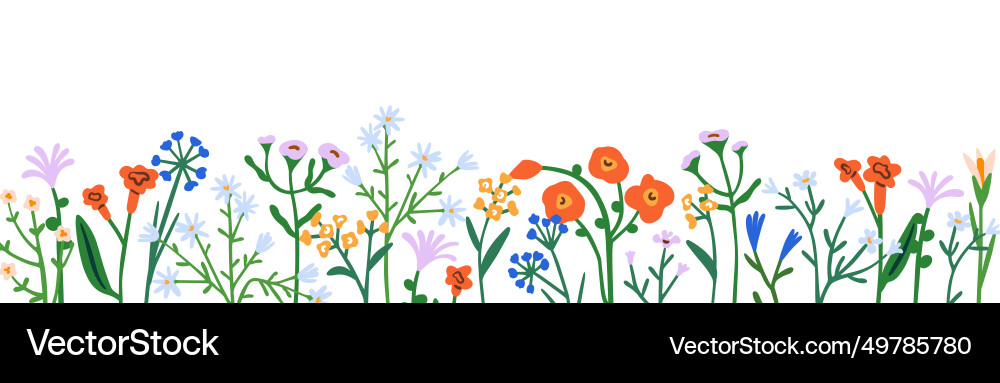Floral border horizontal botanical decoration Vector Image