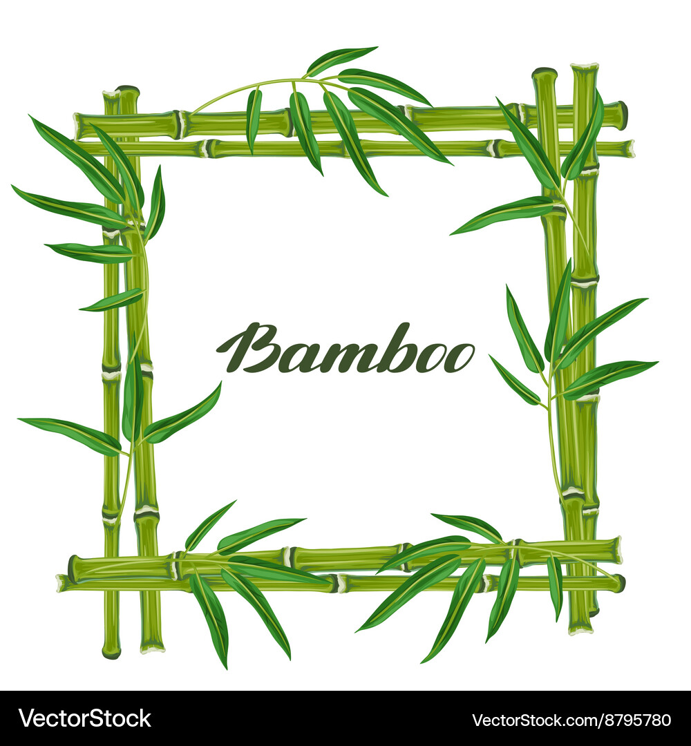 Frame with bamboo plants and leaves design Vector Image
