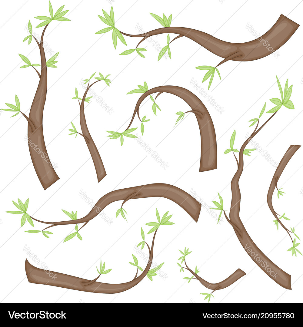 Set of stylized branches with leaves isolated Vector Image
