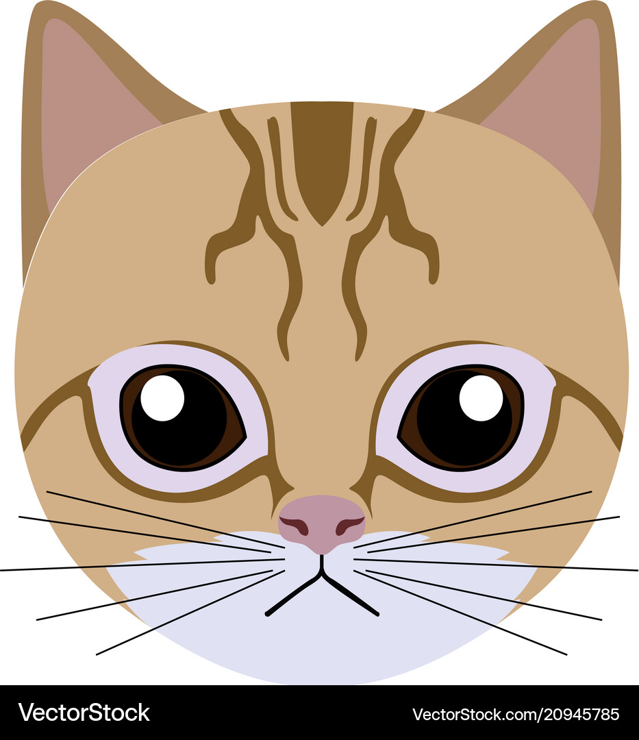 Avatar of a cat breeds Royalty Free Vector Image