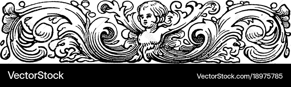 Cherub divider have decorated with a cherubs face Vector Image