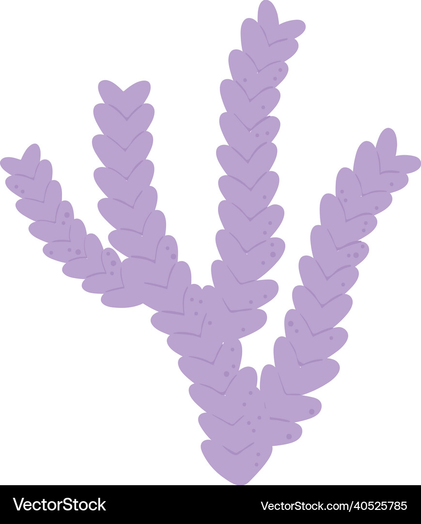 Seaweed sea life Royalty Free Vector Image - VectorStock