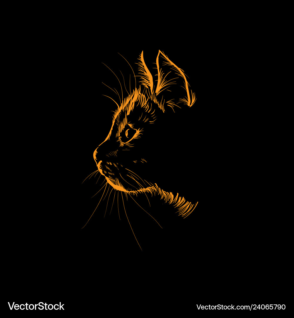Cat portrait silhouette in contrast backlight Vector Image