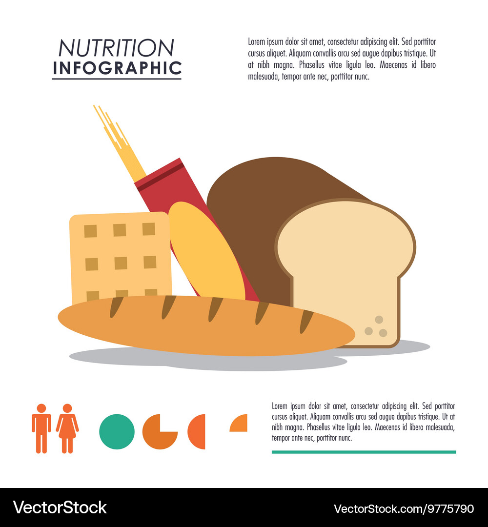 Infographic icon nutrition design graphic Vector Image