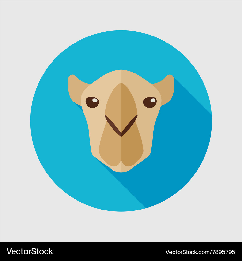 Camel flat icon Animal head symbol Royalty Free Vector Image