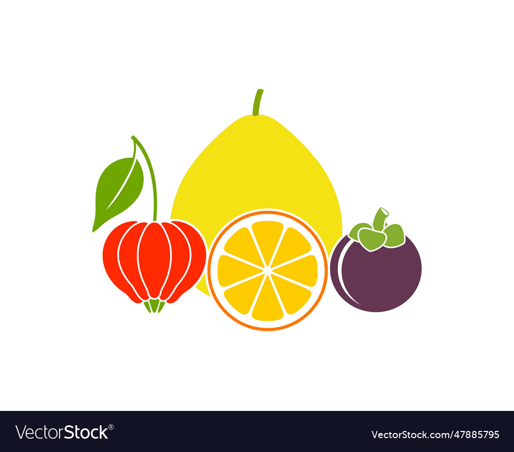 Fruit Royalty Free Vector Image - VectorStock
