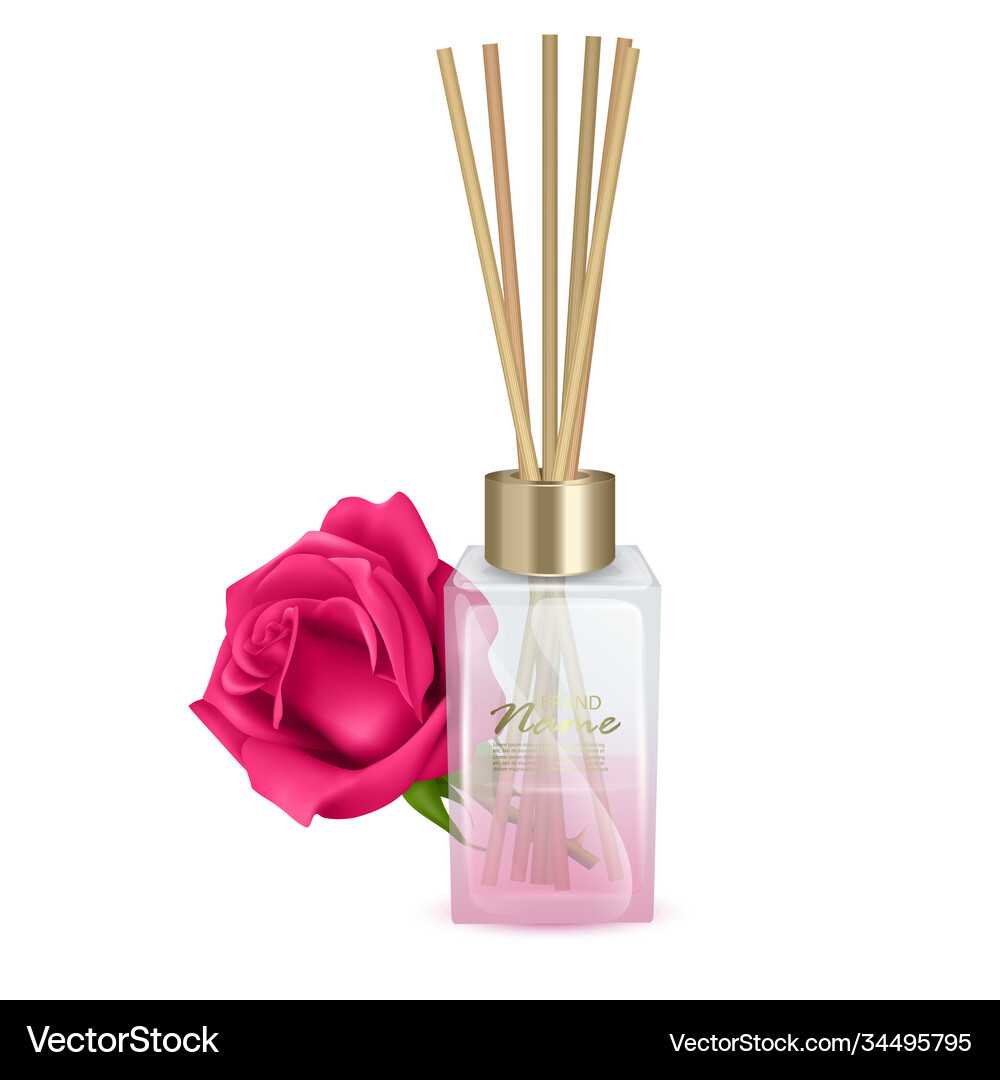 Glass jar with aroma sticks Royalty Free Vector Image