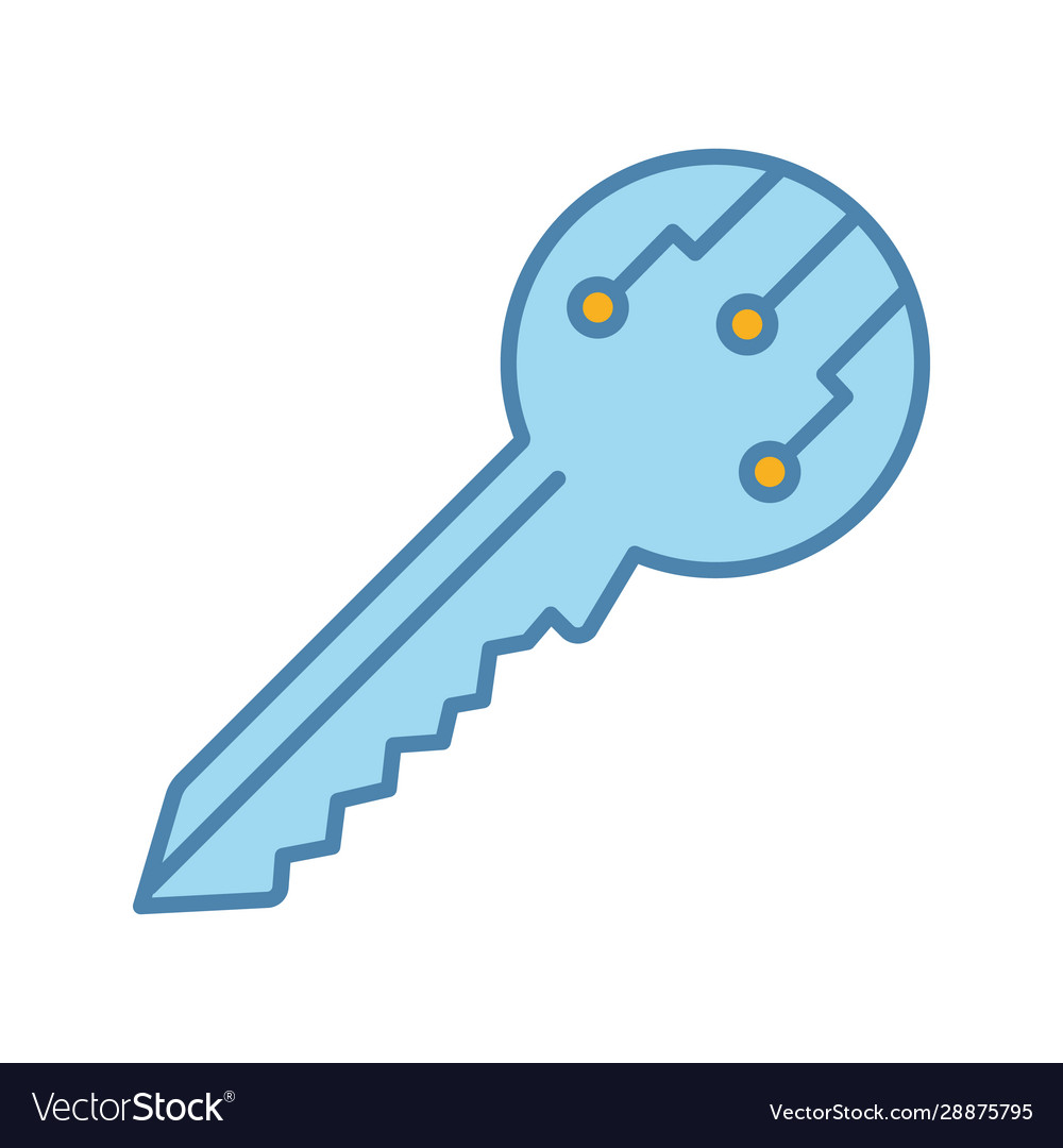Private Digital Key Color Icon Royalty Free Vector Image