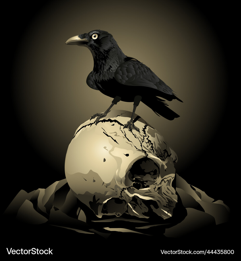 Crow with skull raven on a broken skull Royalty Free Vector