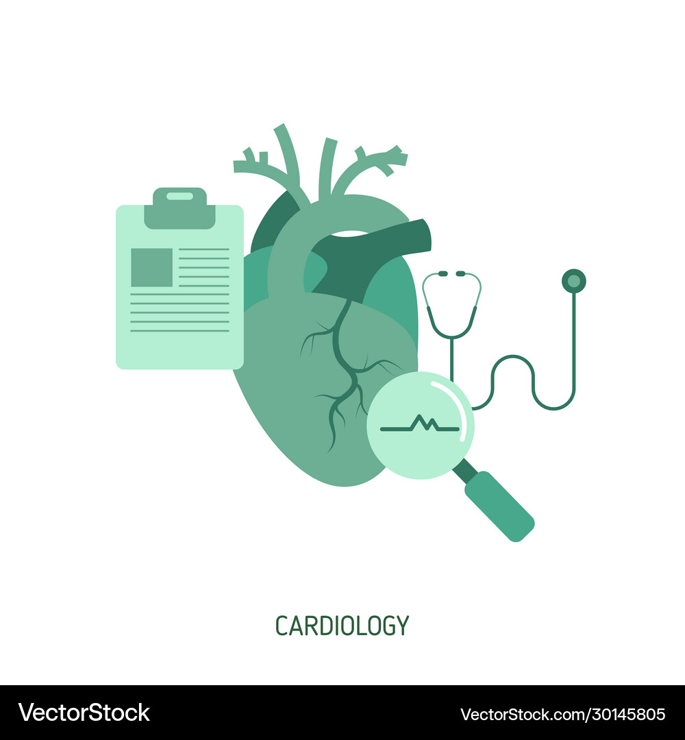 Human heart cardiology concept Royalty Free Vector Image