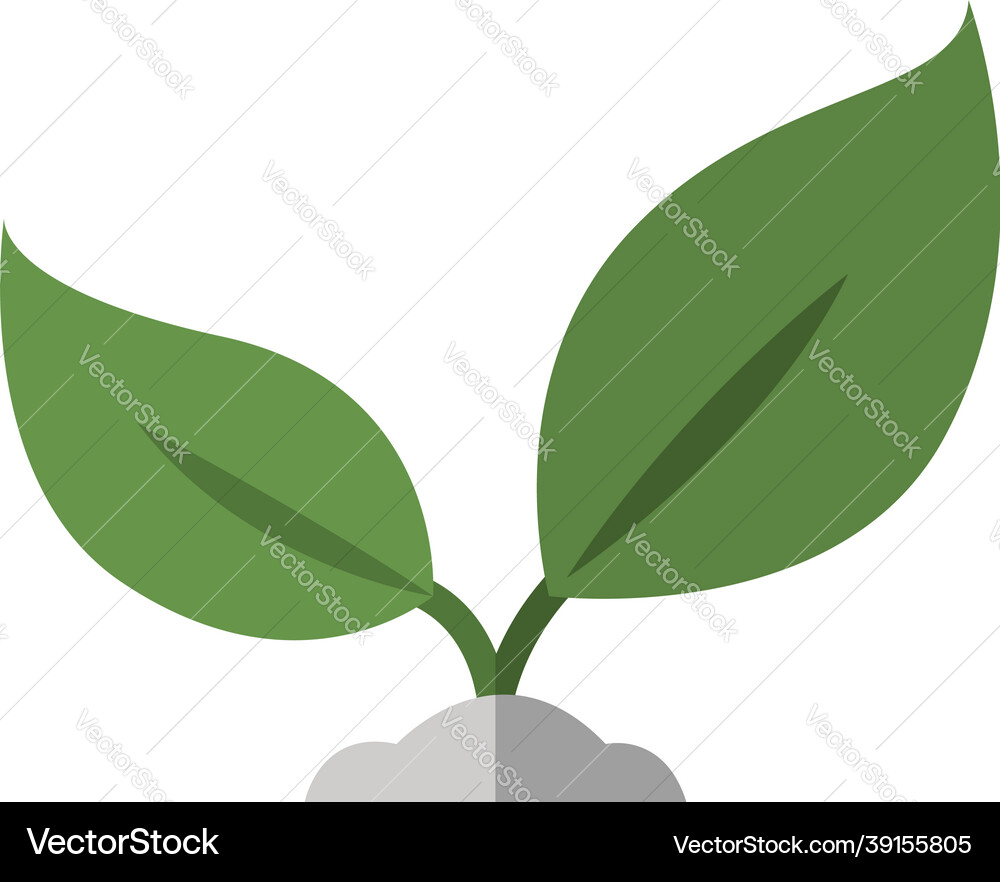 Small green sprout icon on white background Vector Image