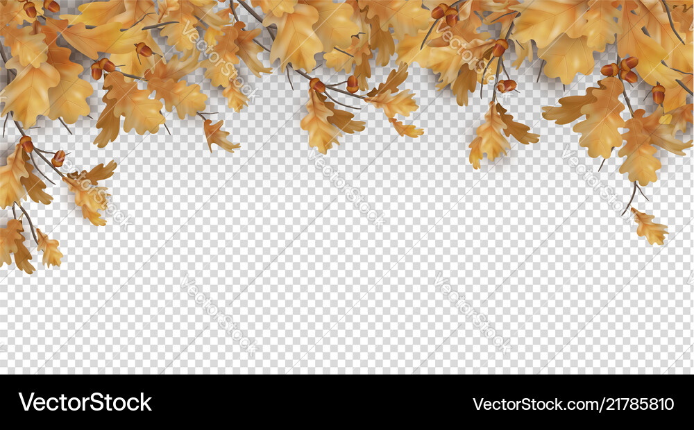 Autumn border with oak leaves Royalty Free Vector Image