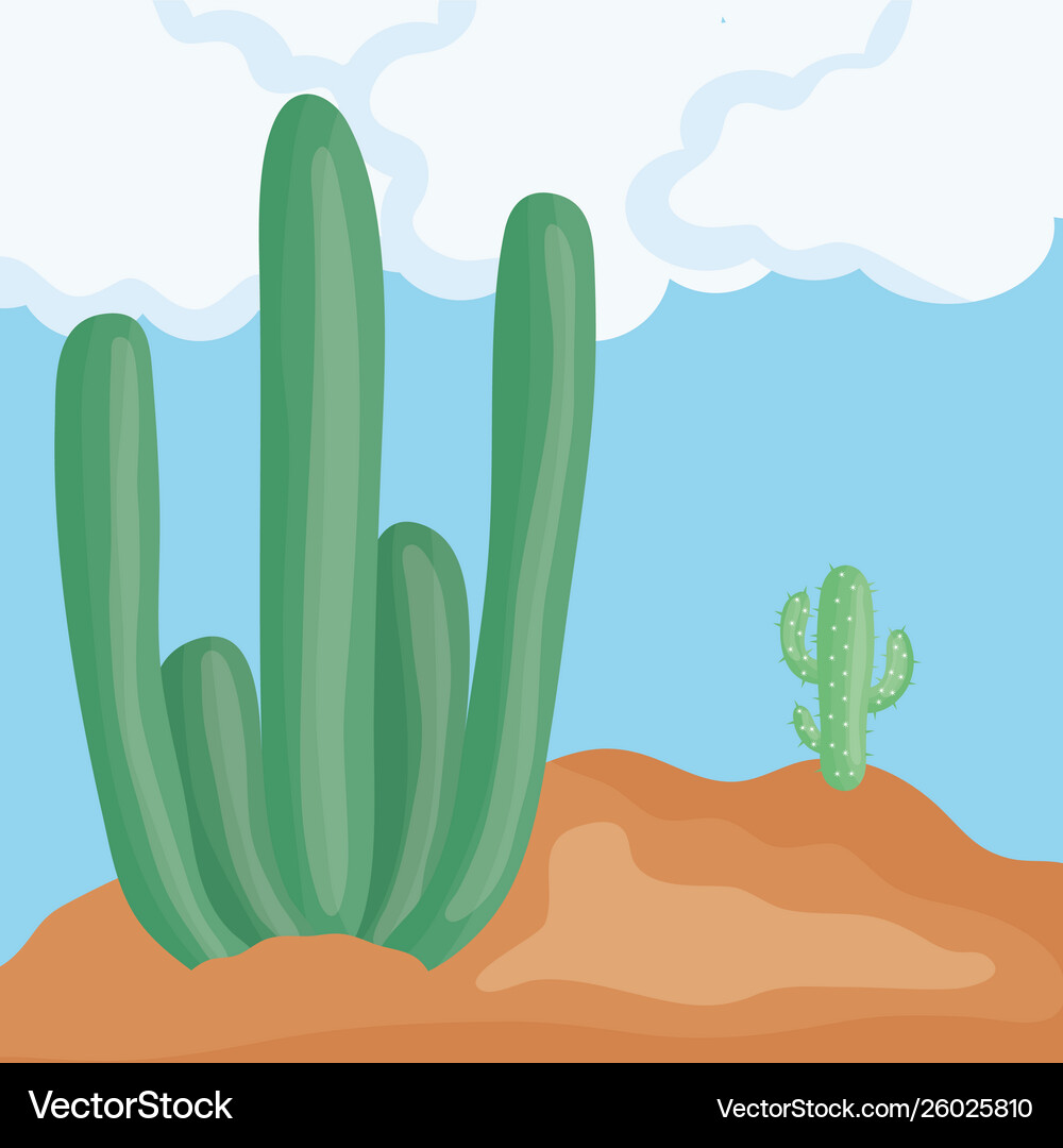Exotic cactus plants in desert Royalty Free Vector Image