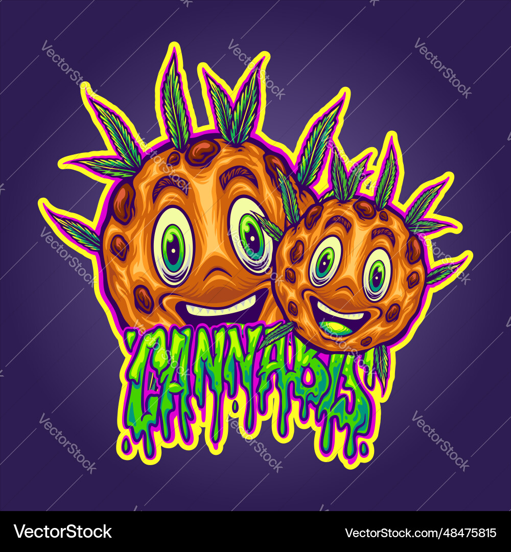 Cannabis cookies with experience blissful Vector Image