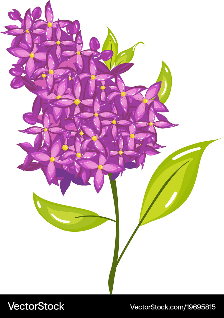 Cartoon lilac spring flower Royalty Free Vector Image