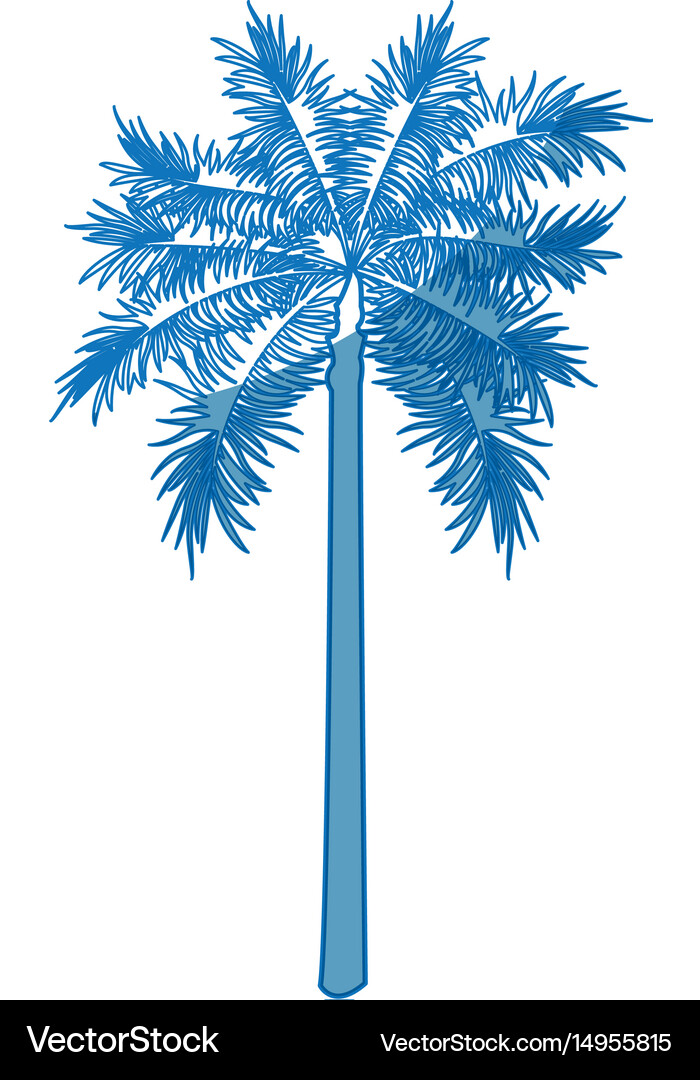 Palm tree trunk leaves botanical tropical isolated