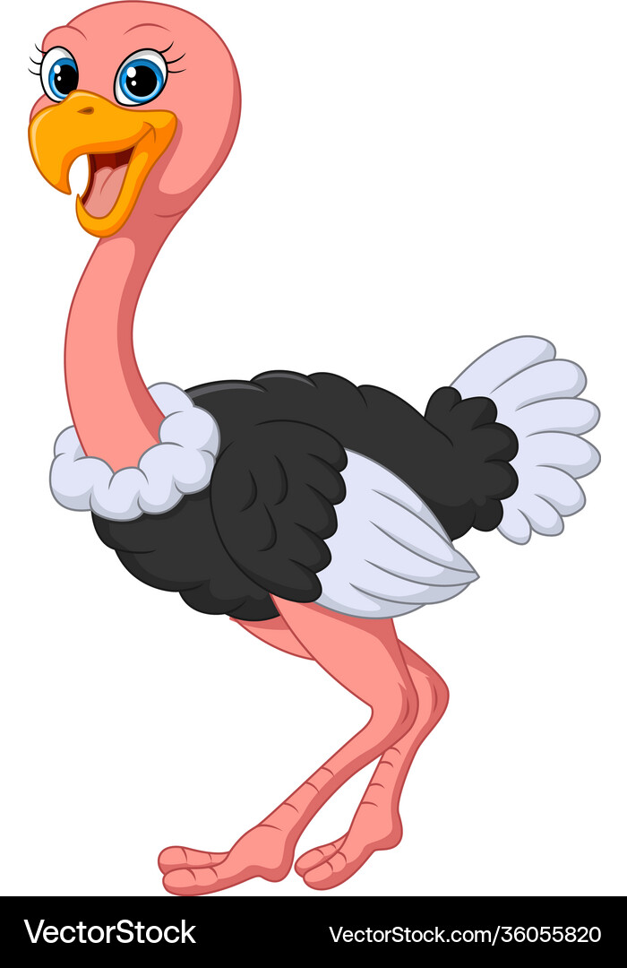 Cartoon funny ostrich on white background Vector Image