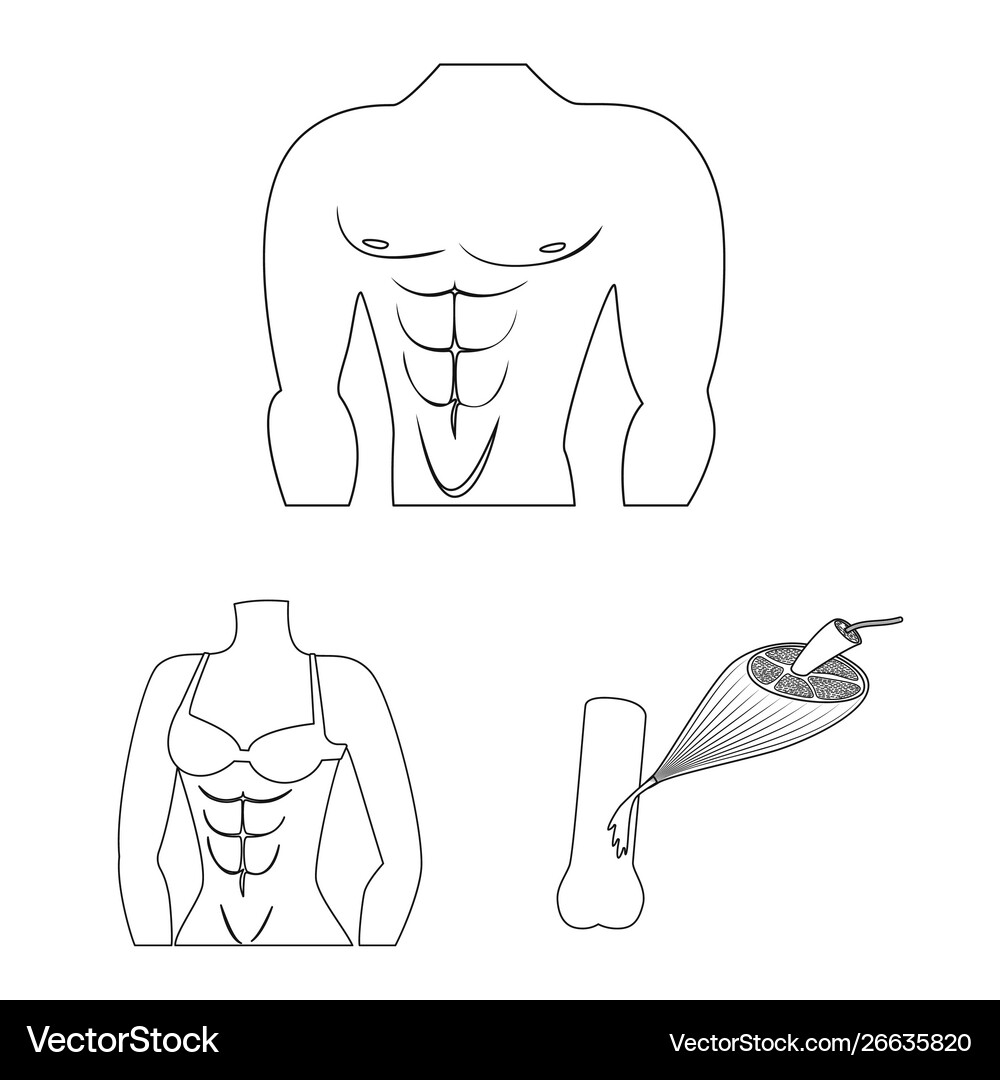 Fiber and muscular logo Royalty Free Vector Image