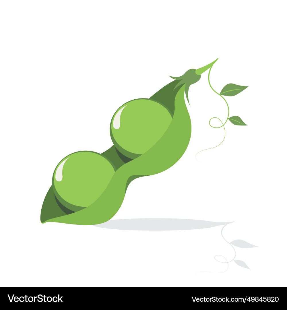 Peas in a pod food Royalty Free Vector Image - VectorStock