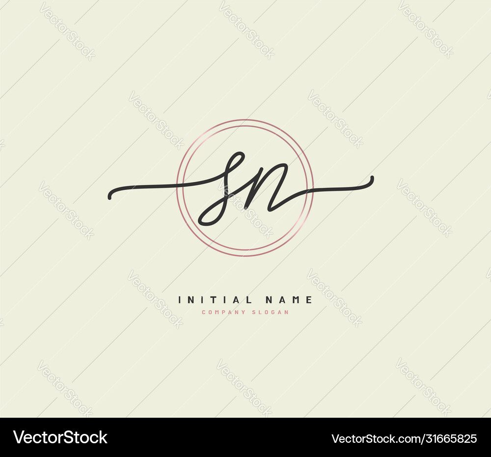 S n sn beauty initial logo handwriting Royalty Free Vector